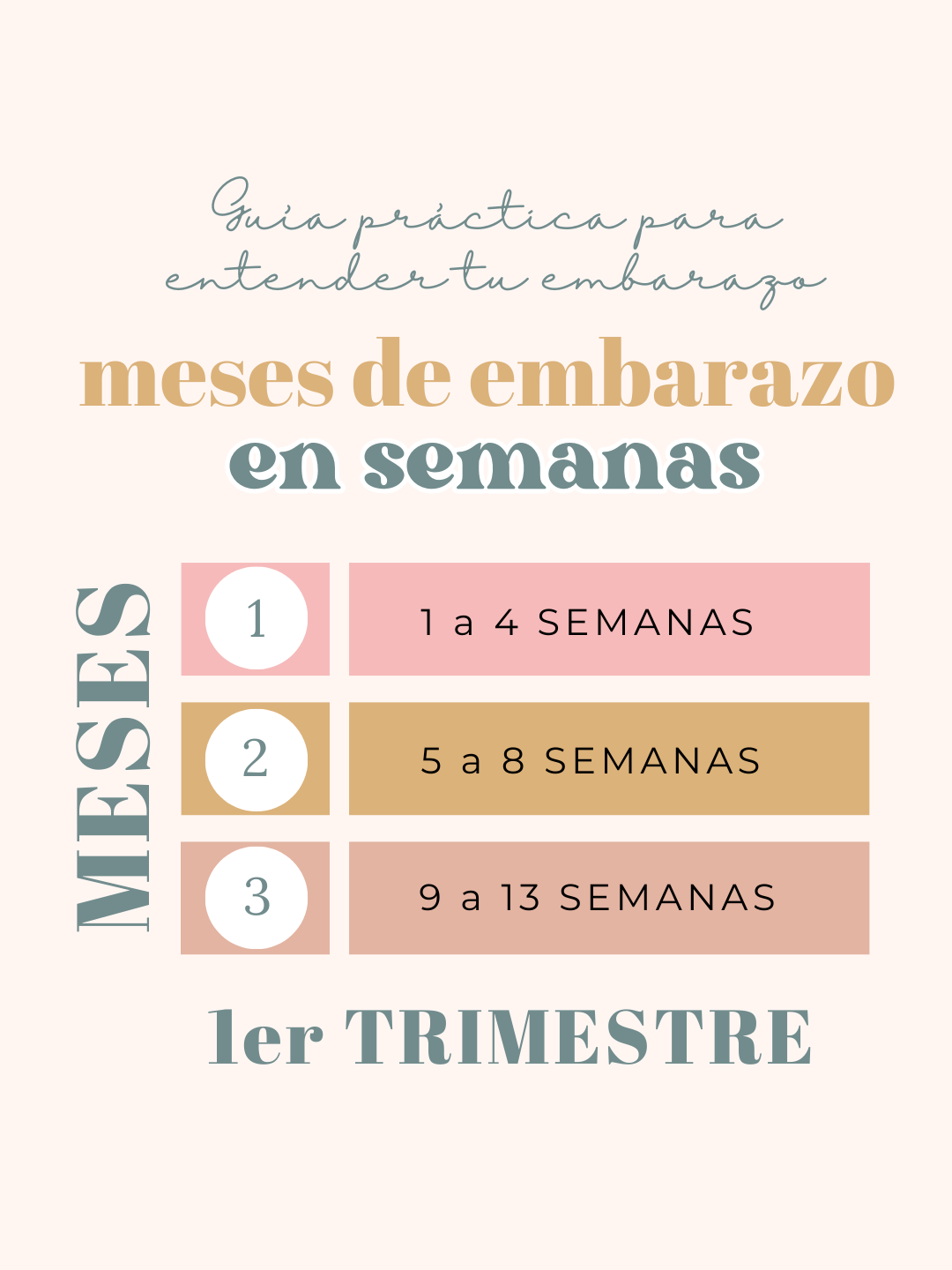 ¿Cuántos meses dura realmente un embarazo? Equivalencias entre semanas ...